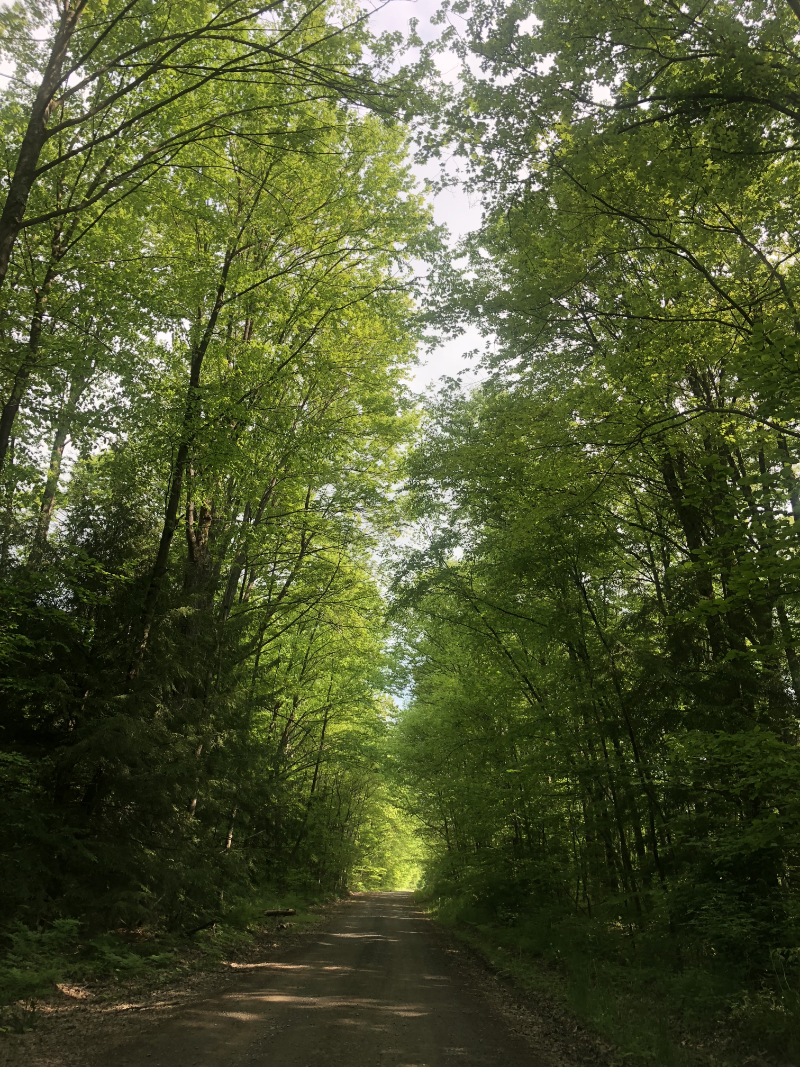 There's Got To Be Another Way! | Hoffman Appalachian Farm